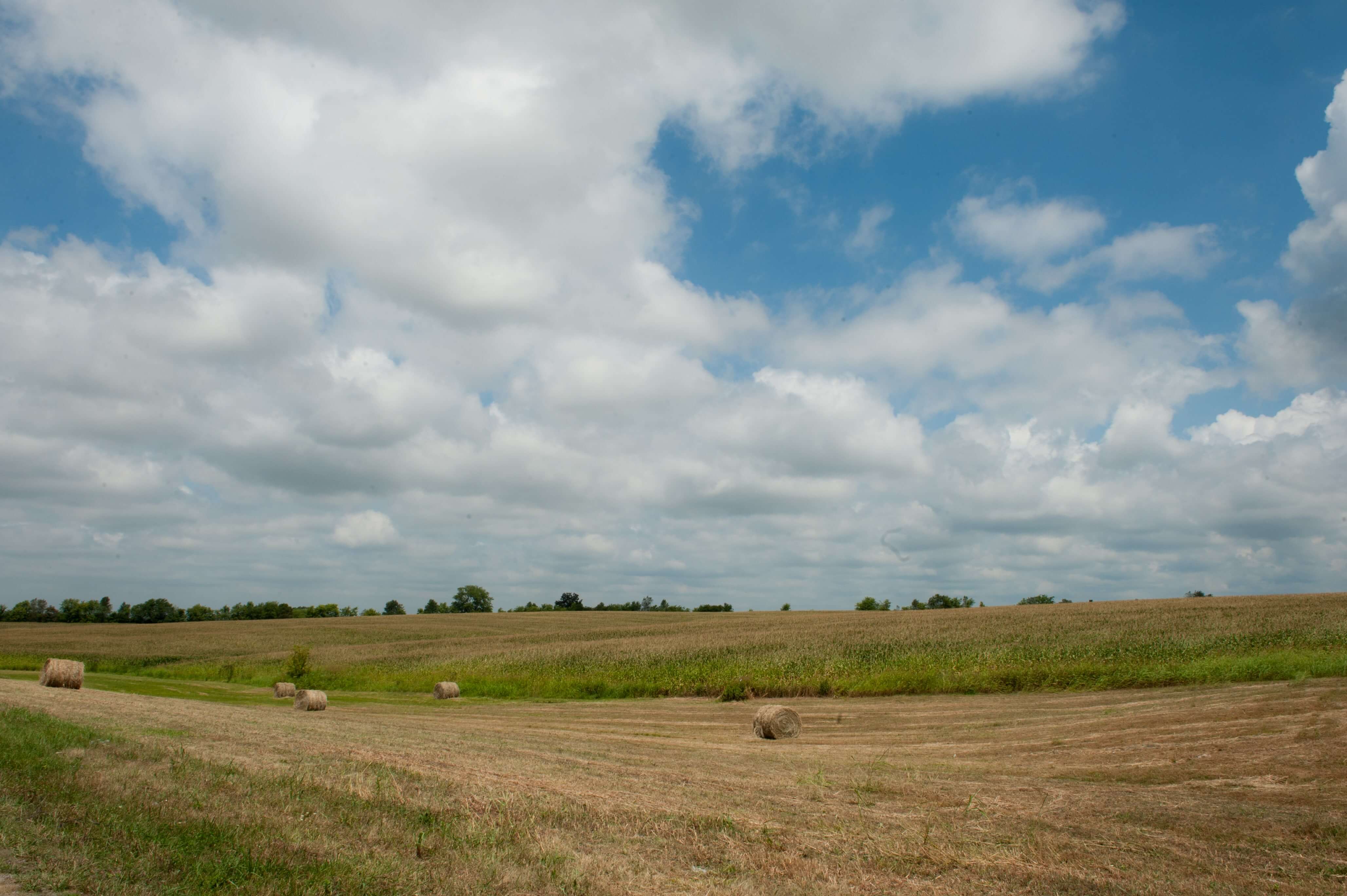 Michter's Distillery - 2025 World's Most Admired Whiskey